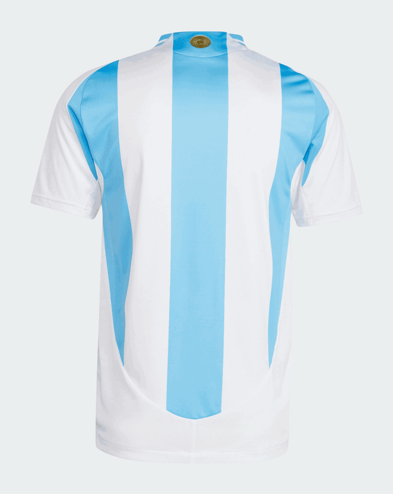 Argentina 2024 Home Kit – kitify
